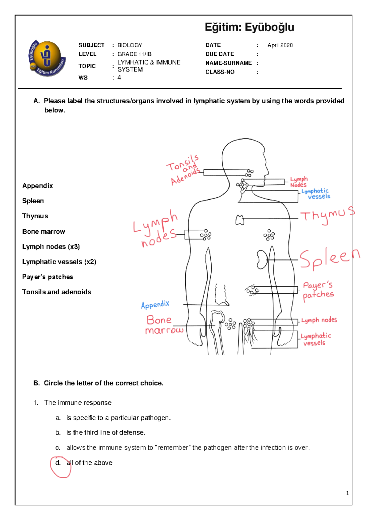Lymphatic and Immune System Review - 1 SUBJECT : BIOLOGY LEVEL : GRADE ...