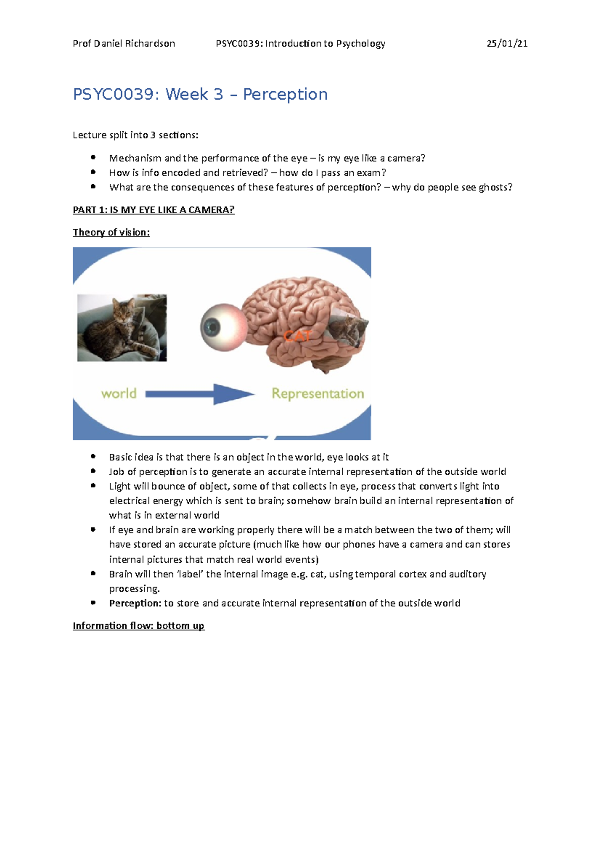 PSYC0039 Week 3 - Lecture 3 Perception Lecture Notes - PSYC0039: Week 3 ...