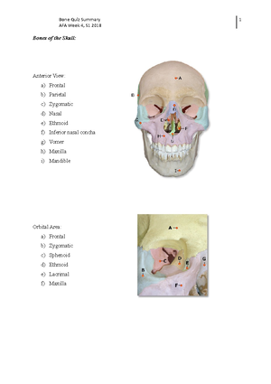 Spinal Viva techniques - Cervical Assessment PPIVMs Patient Therapist ...