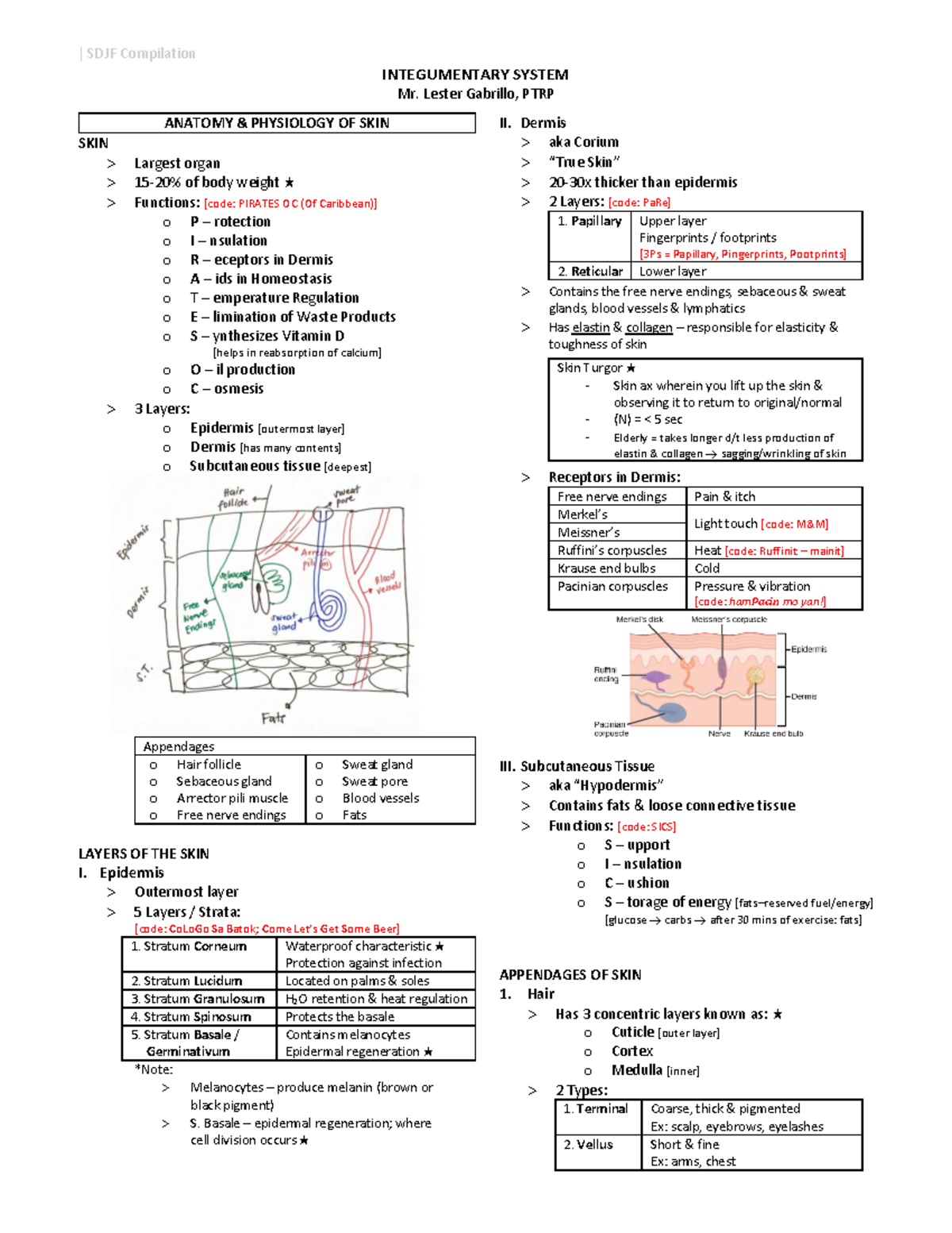 7-Integumentary Note - INTEGUMENTARY SYSTEM Mr. Lester Gabrillo, PTRP ...
