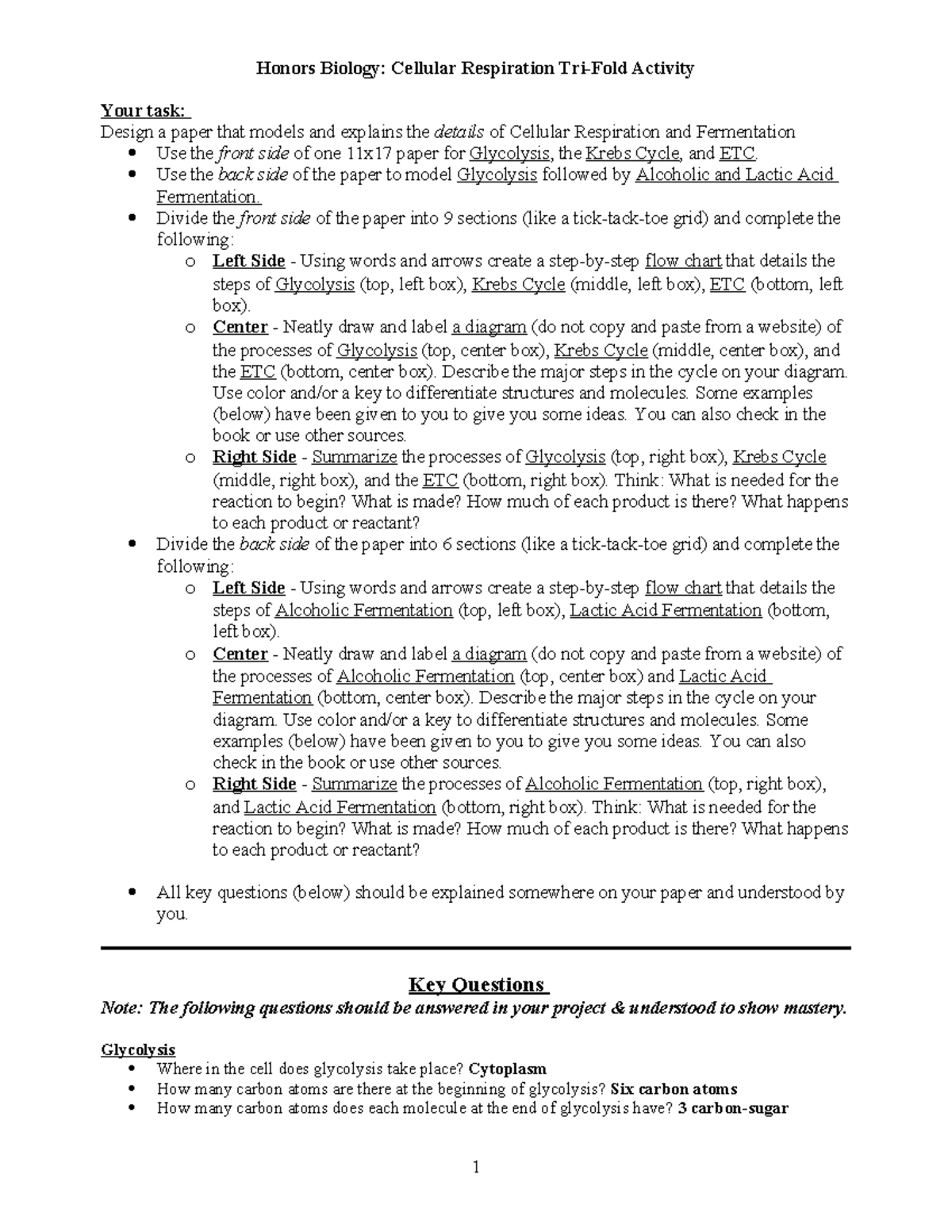 Honors Biology: Cellular Respiration Tri-Fold Project (CH 7) - Studocu