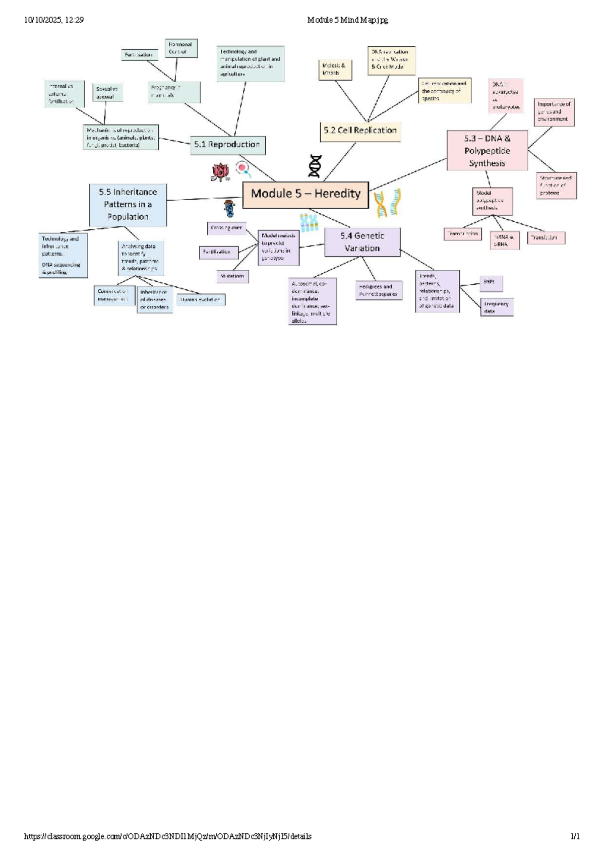 Module 5 Mind Map: Hormonal Control, Reproduction & DNA Replication - Studocu