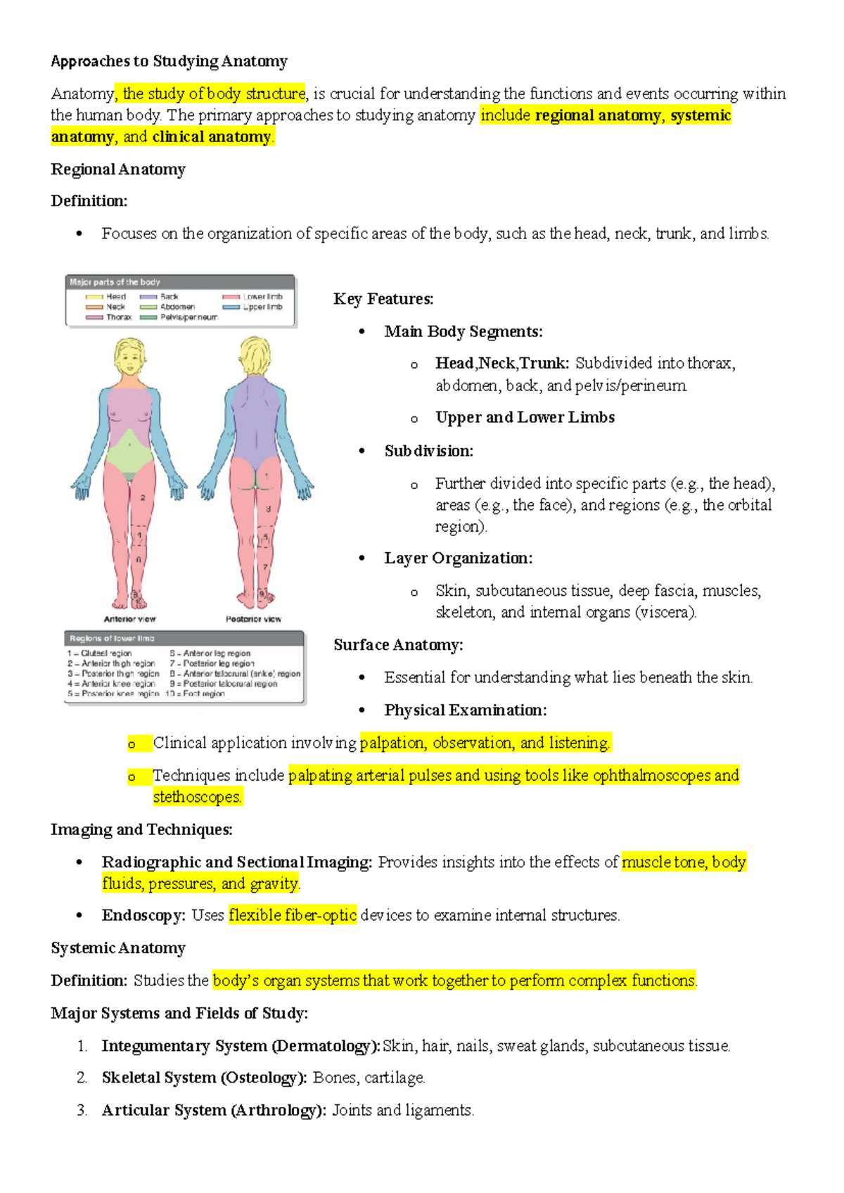 **Anatomy 101: Comprehensive Introduction to Human Body Structure ...