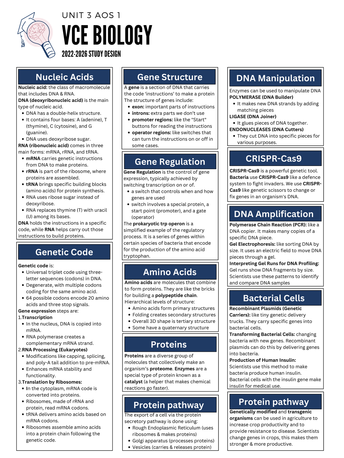 VCE 3-4 Biology Study Design Summary Notes: Nucleic Acids to Human ...