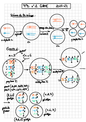 Cours complet - L1 SV - Mendel, Morgan, et les gènes Mendel est le ...