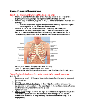 Ch 18 - Thorax and Lungs Questions - Chapter 18: Thorax and Lungs ...