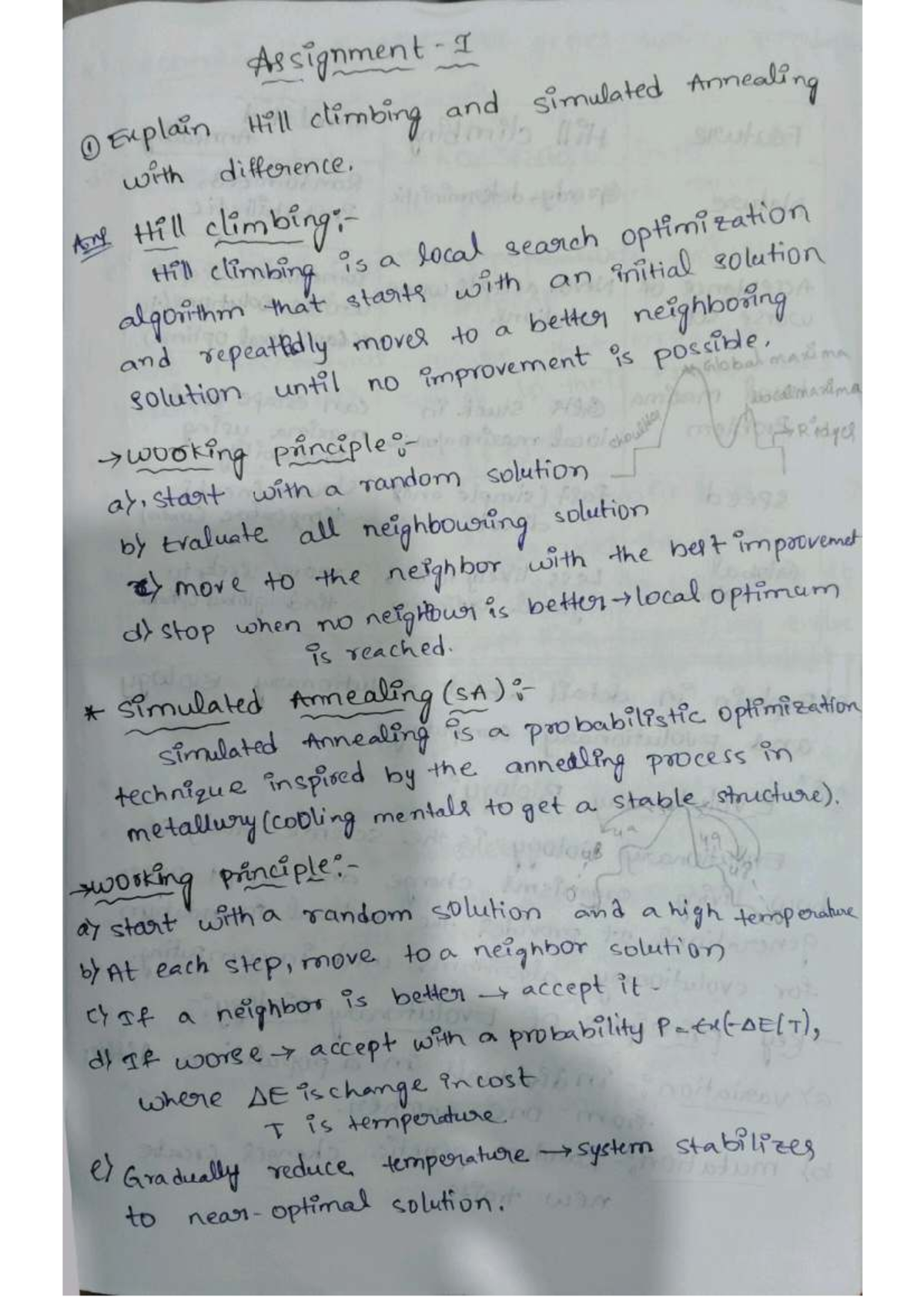 Nic Assignment 1: Hill Climbing, Simulated Annealing & Evolutionary Computing - Studocu