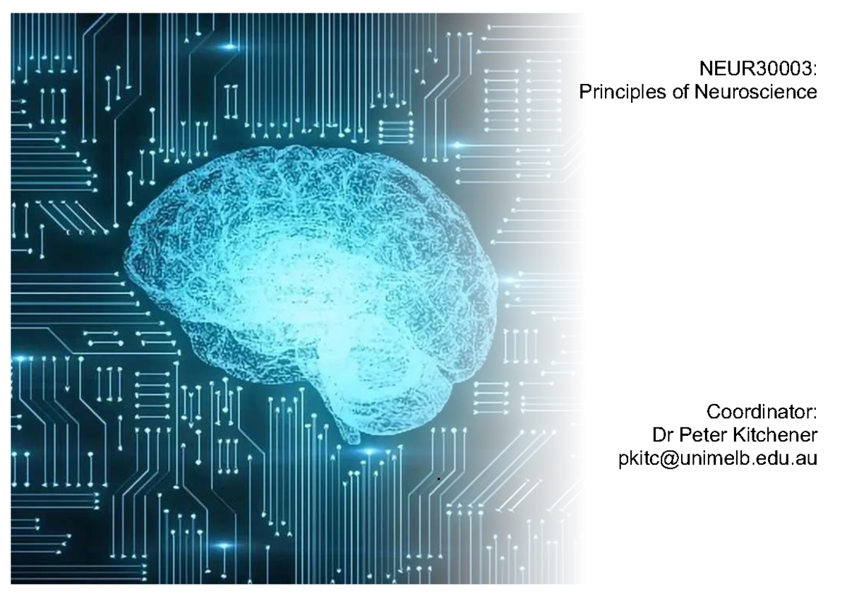 Neuroscience Principles: Lecture 1 - Understanding the Nervous System ...