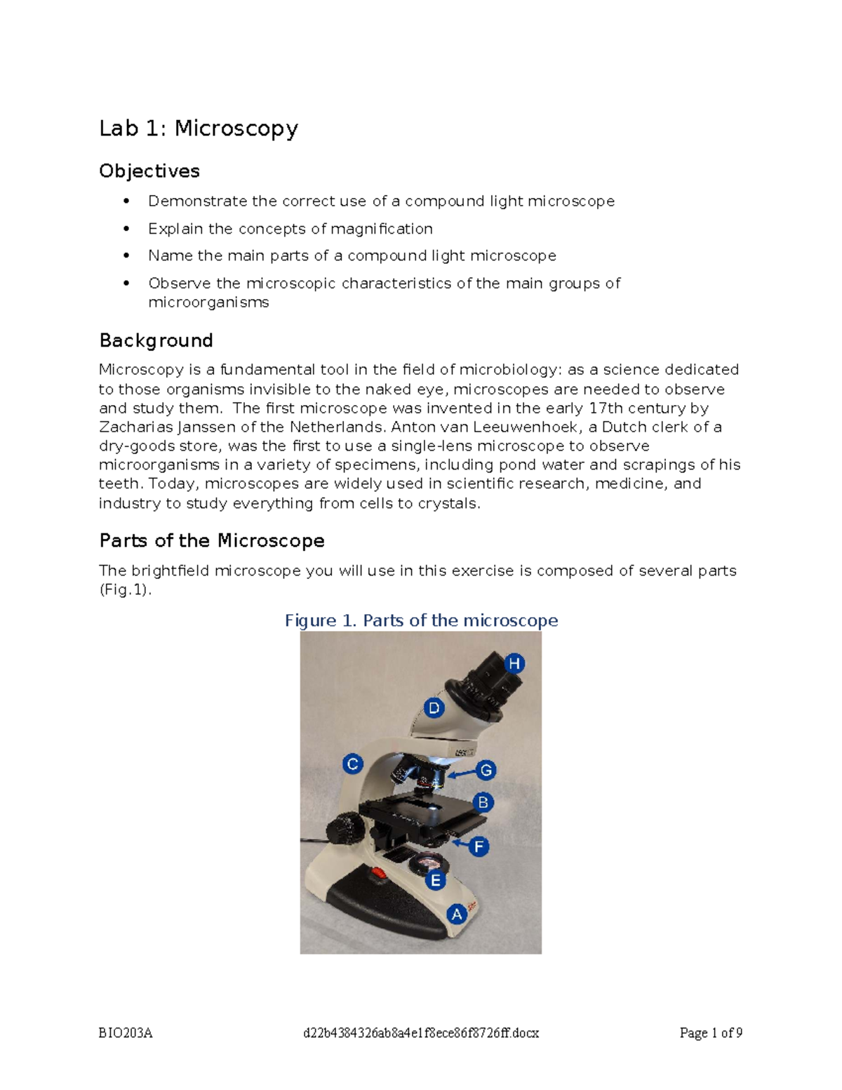BIO203A Lab 1: Using Compound Light Microscopes for Microorganism Study ...