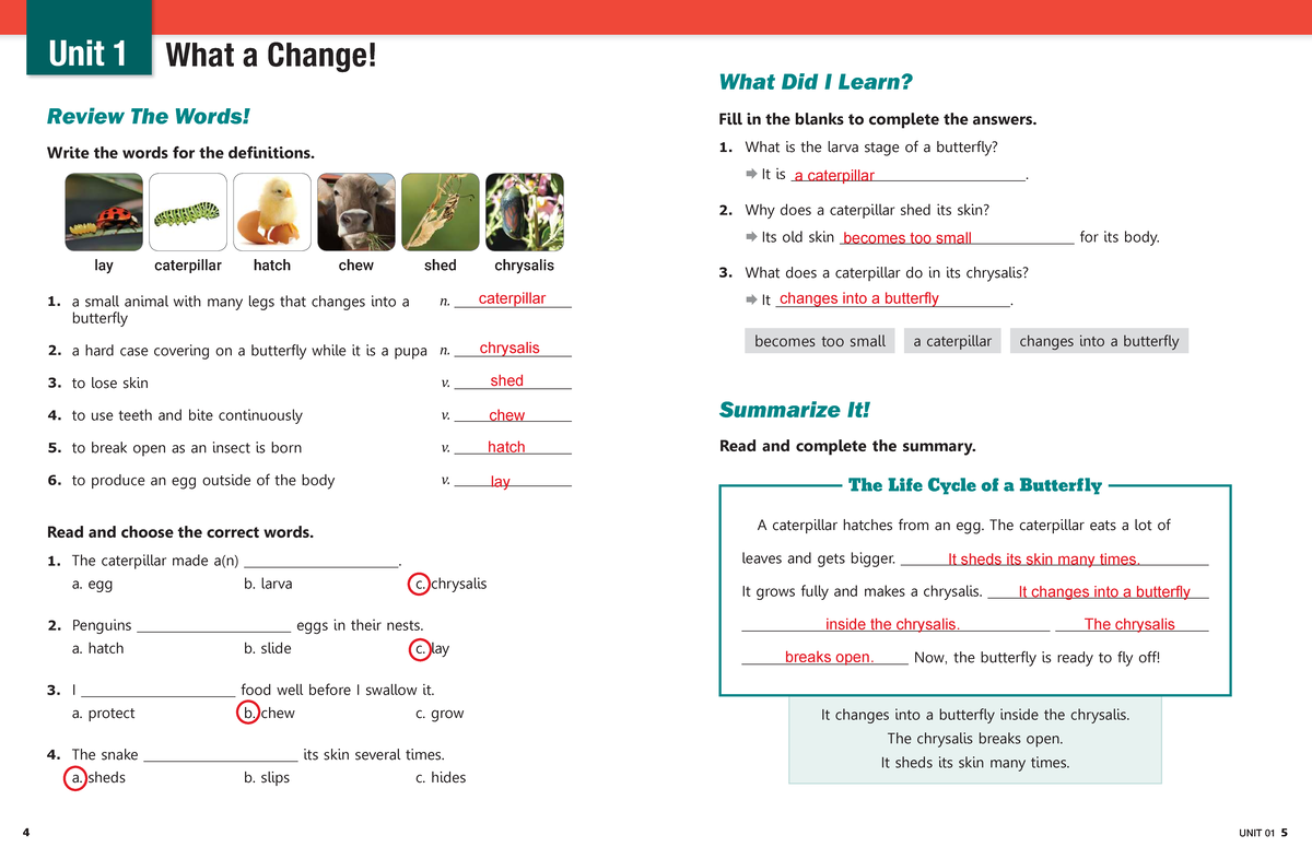 Bricks Reading 170 Nonfiction L3 WB Answer Key - Studocu