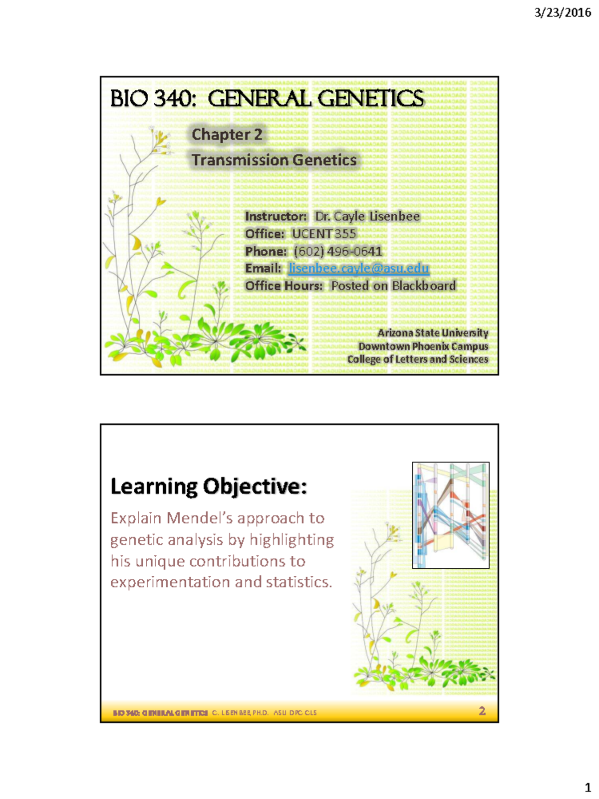 Mendelian Genetics: Dihybrid Crosses and Inheritance Principles ...