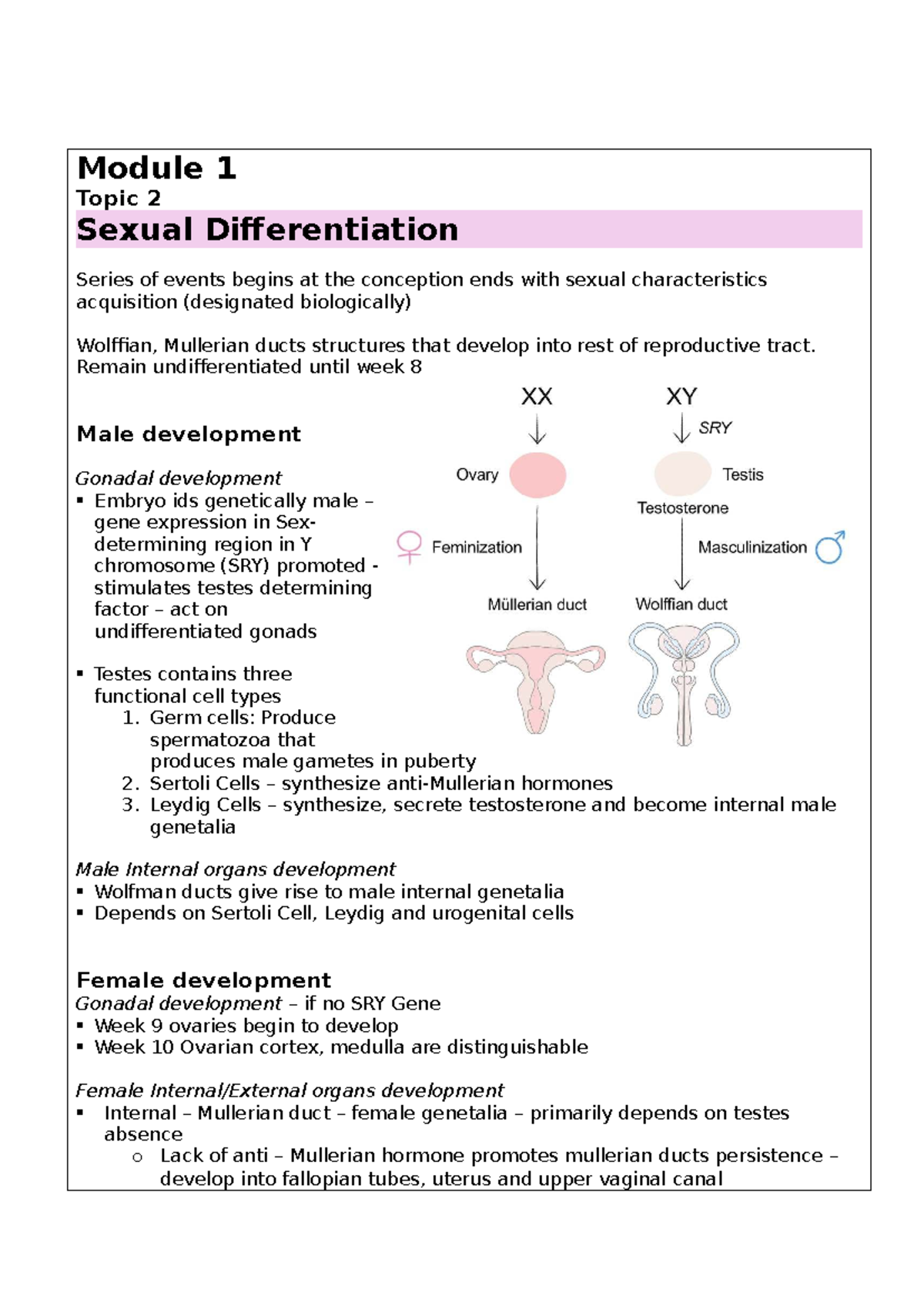 Sexual Differentiation and Puberty: Module 1 Topic 2 Overview - Studocu