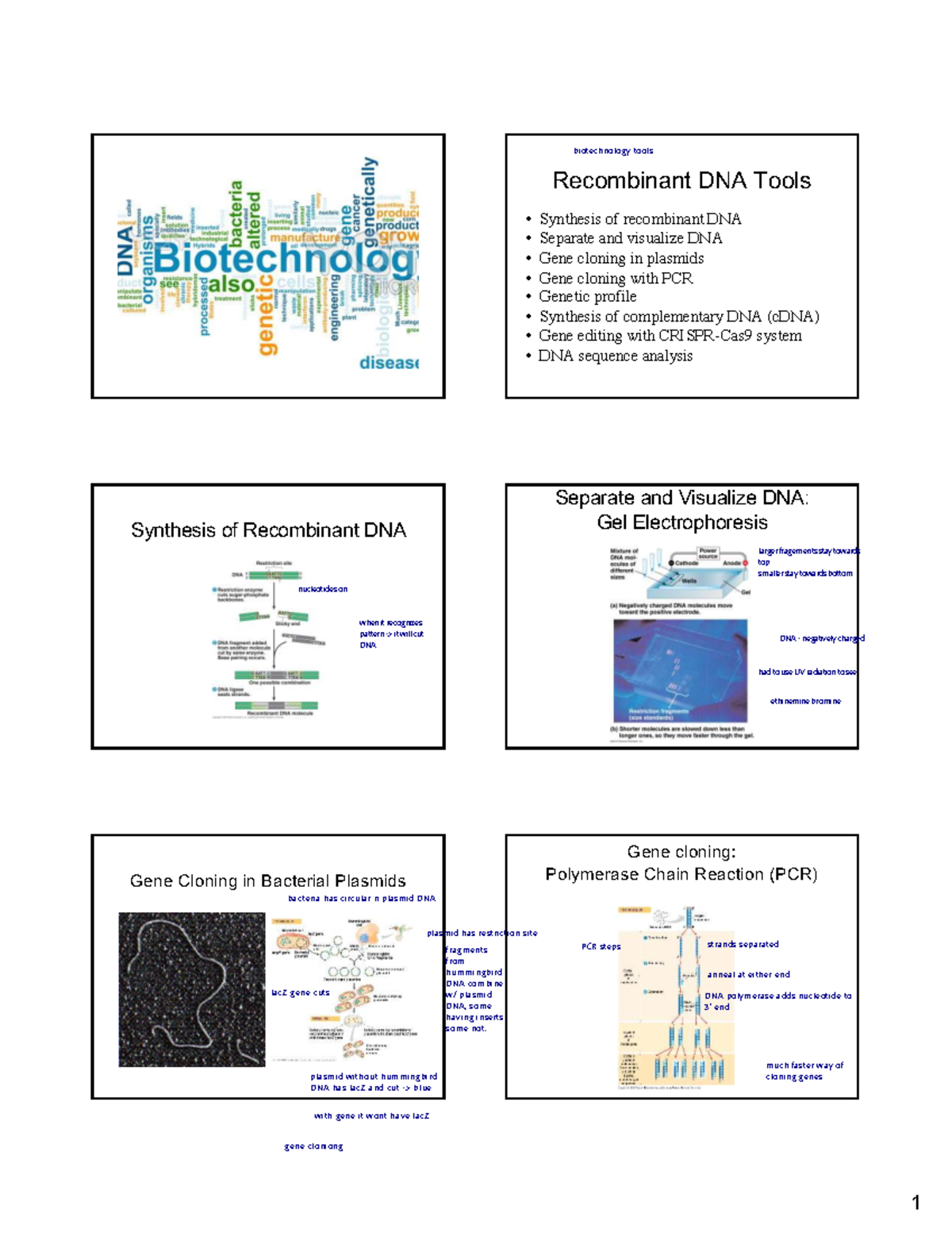 Recombinant DNA Techniques and Applications in Biotechnology (Biotech ...