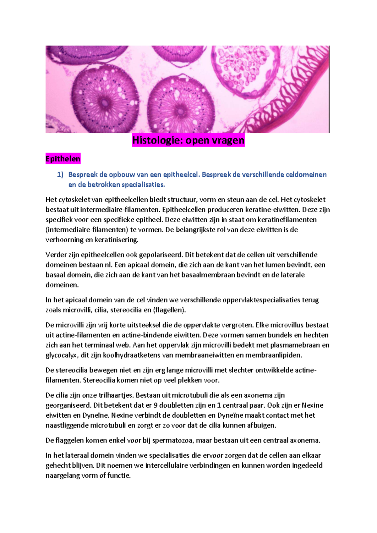 Histologie: Open Vragen over Epitheelcellen en Weefselstructuren - Studocu