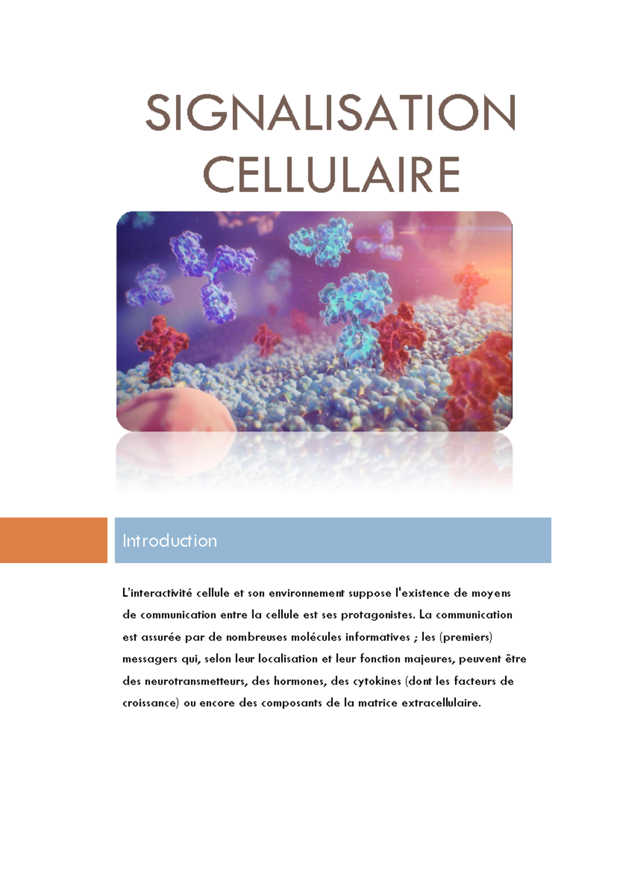 SC Base en Signalisation Cellulaire: Introduction et Mécanismes - Studocu
