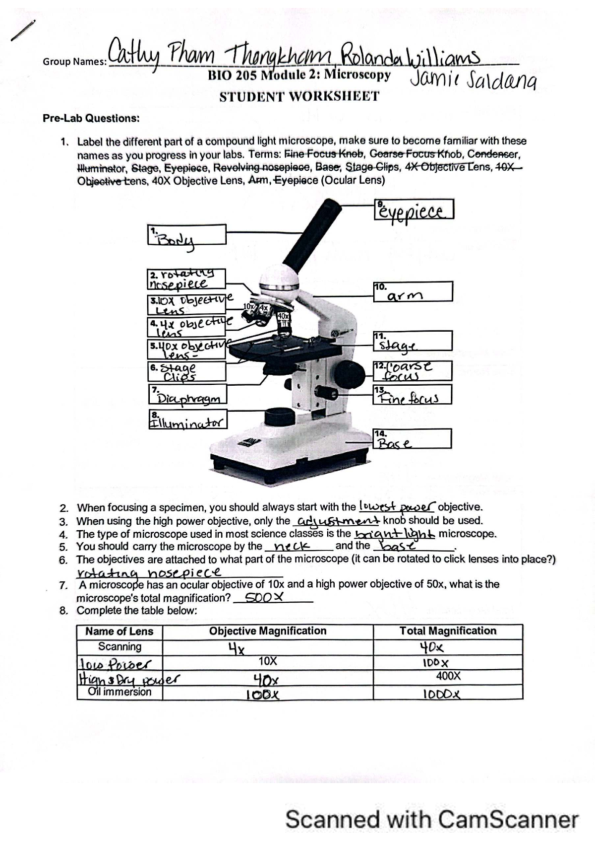 BIO 205 Module 2: Microscopy & Microbial Analysis Student Worksheet ...
