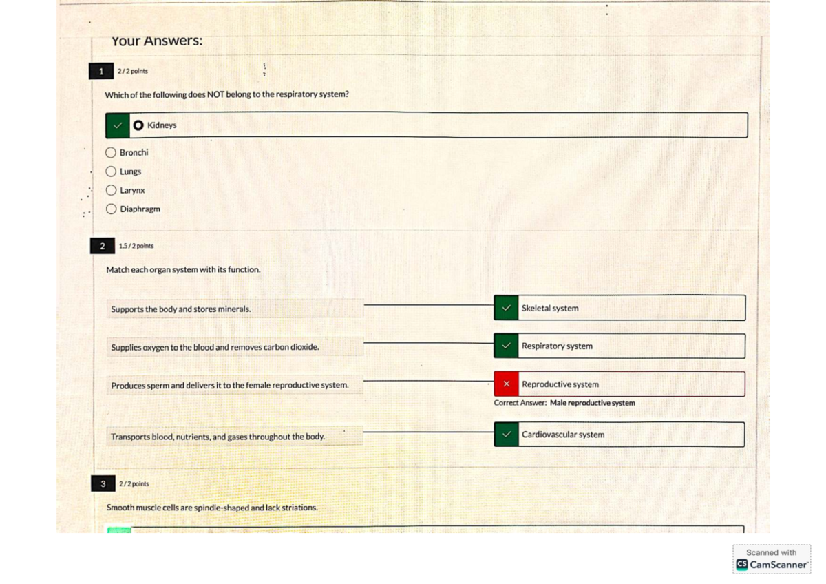 Module 2: Respiratory and Integumentary System Study Guide - Studocu
