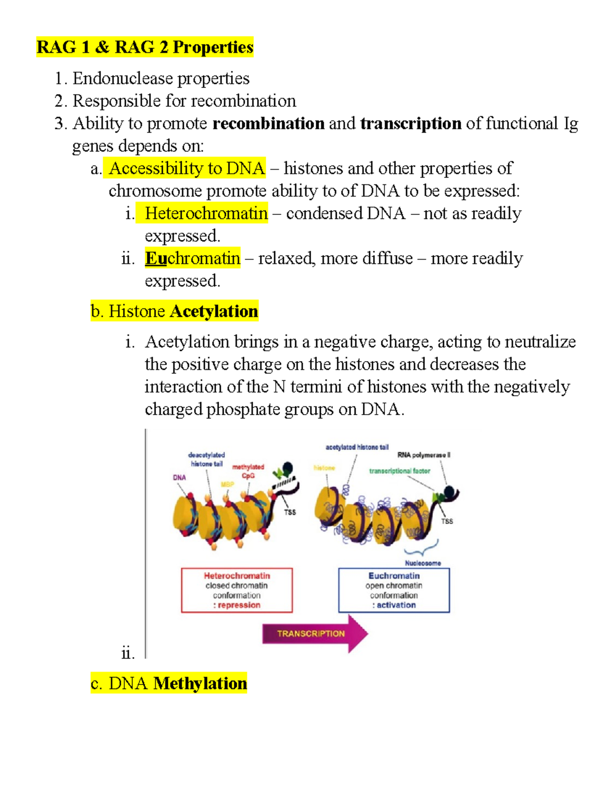 Somatic Immunoglobulin Gene Recombination: Mechanisms & Models (RAG 1 ...