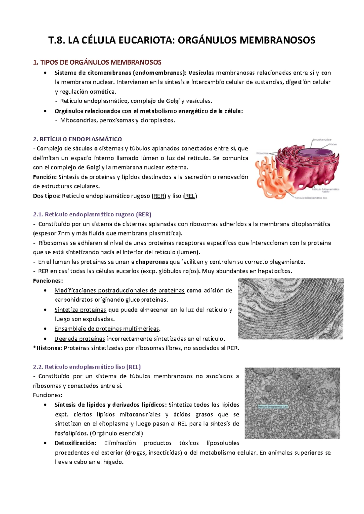 Enzimas fg fsd dfs dsf dsf ds fdsf fds f f df dsf df ds fd sd fd fds ...