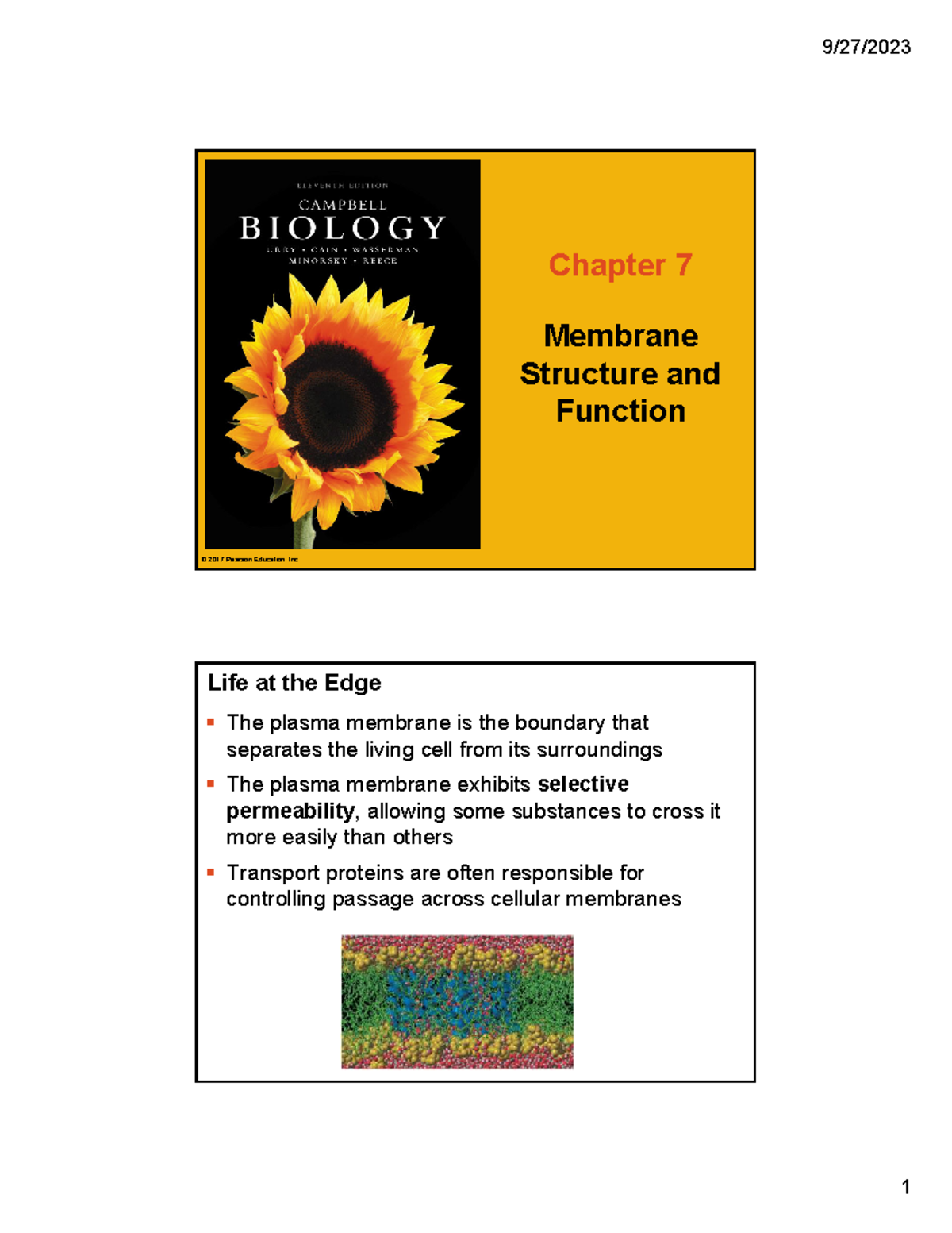 Cell Membrane Structure and Function: Key Concepts (BIO 101) - Studocu