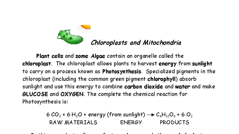 Chloroplasts and Mitochondria: Overview of Functions and Processes ...