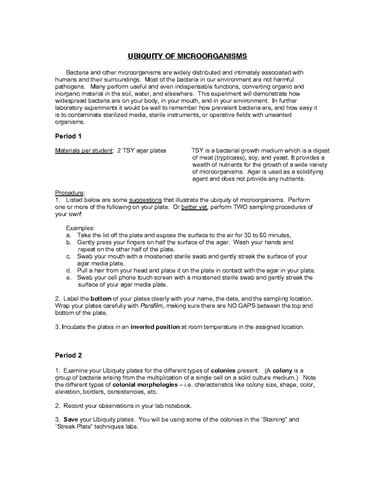 5. UBIQUITY OF MICROORGANISMS: Exploring Bacterial Presence in Lab ...