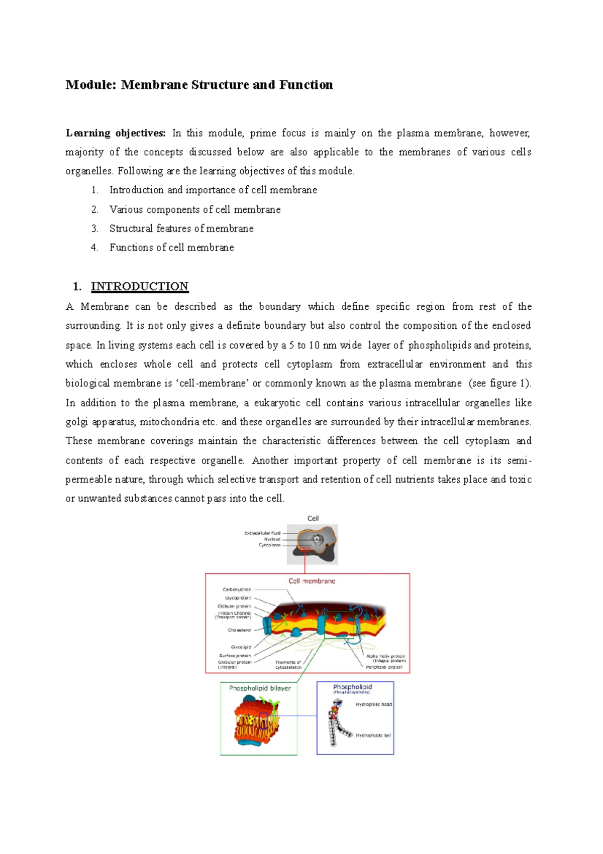 Module. Membrane Structure and Function - Module: Membrane Structure and Function Learning - Studocu