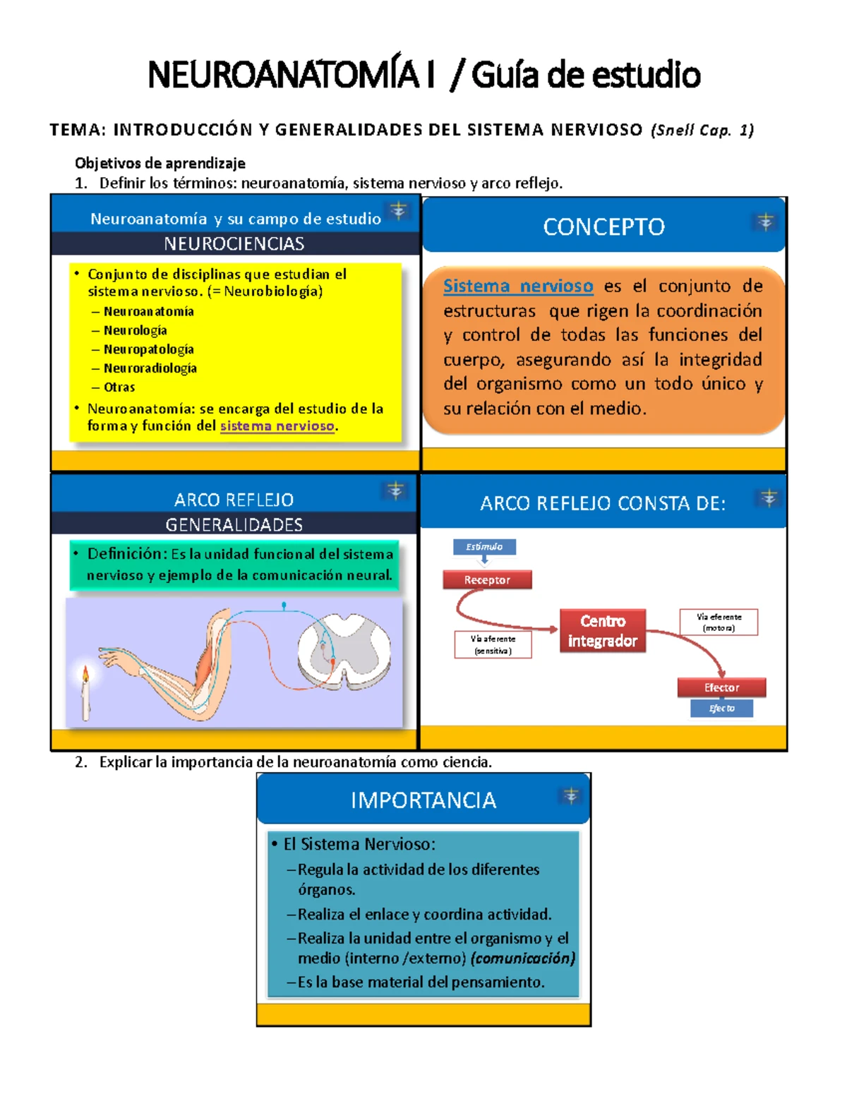 Centro Semioval - Apuntes 1 - CAPITULO XVIII. El centro semioval o ...