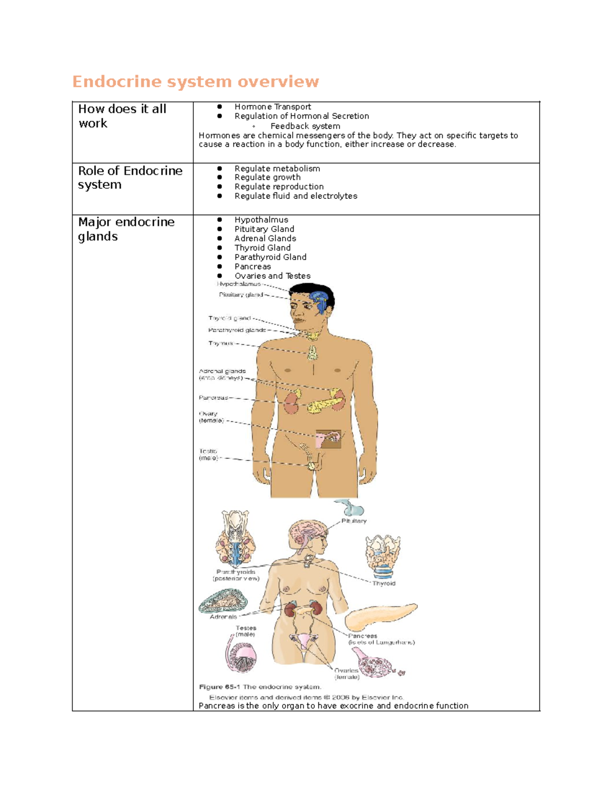Endo exam slides 114 - endocrine - Endocrine system overview How does ...