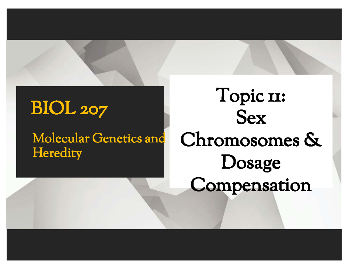 Biol 207 Final Exam Notes Topic 11 Sex Chromosomes And Determination 2886