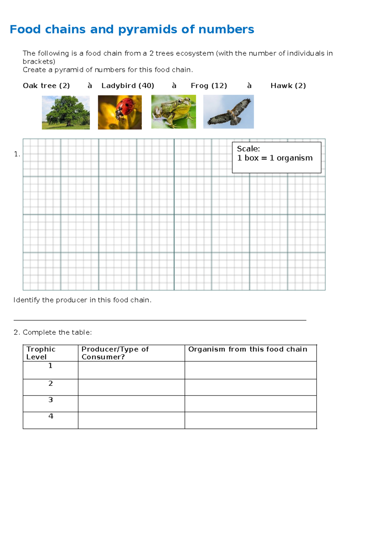 Food Chains and Pyramids WS: Trophic Levels & Ecosystem Analysis - Studocu