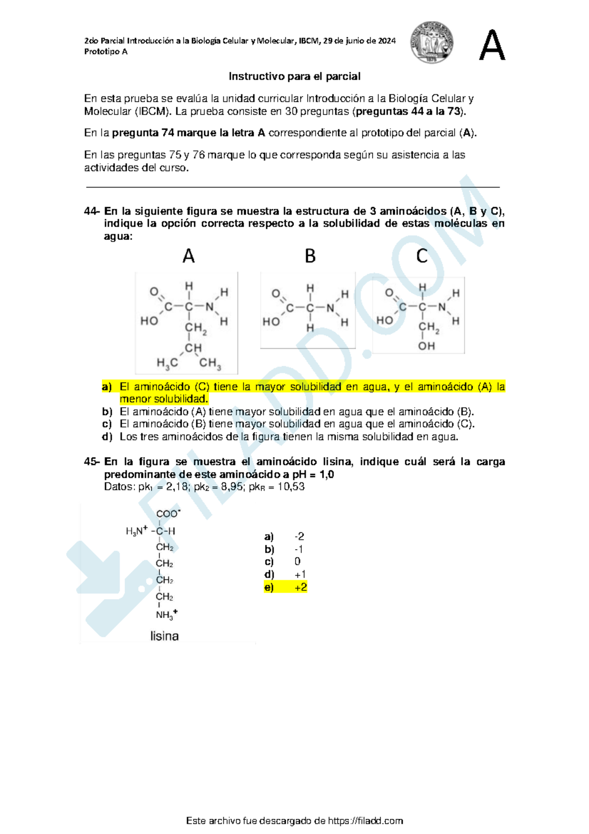 Segundo Parcial IBCM: Introducción a la Biología Celular y Molecular ...