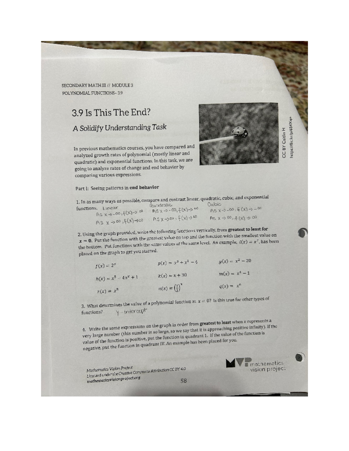 Secondary Math 3 Module 3.9 Polynomial Functions Task & RSG Insights ...