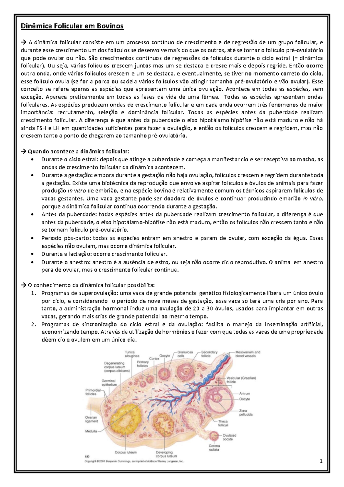 Dinâmica Folicular em Bovinos: Ciclo Estral e Crescimento Follicular ...