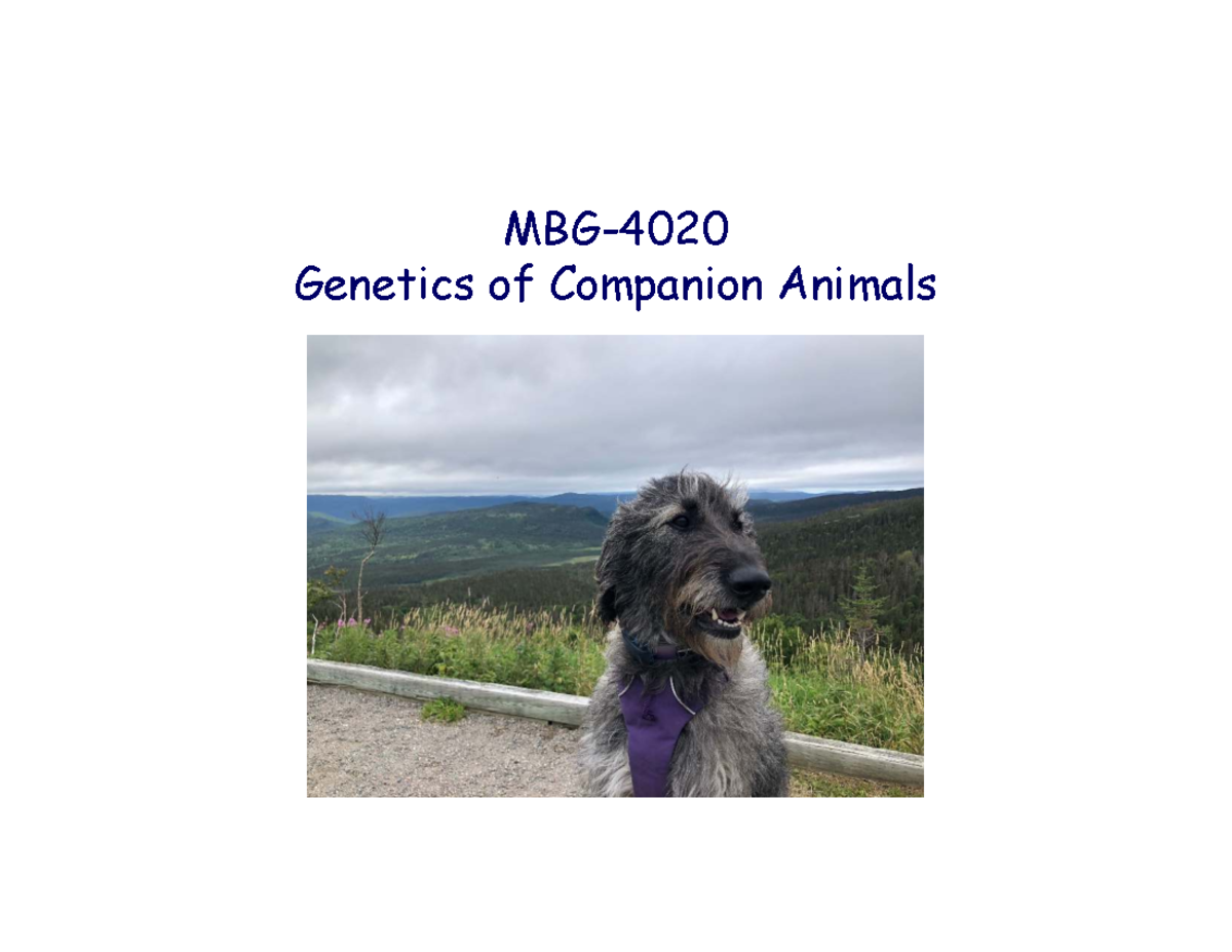 MBG 4020 F25: Genetics of Companion Animals - Breeding Program Insights ...