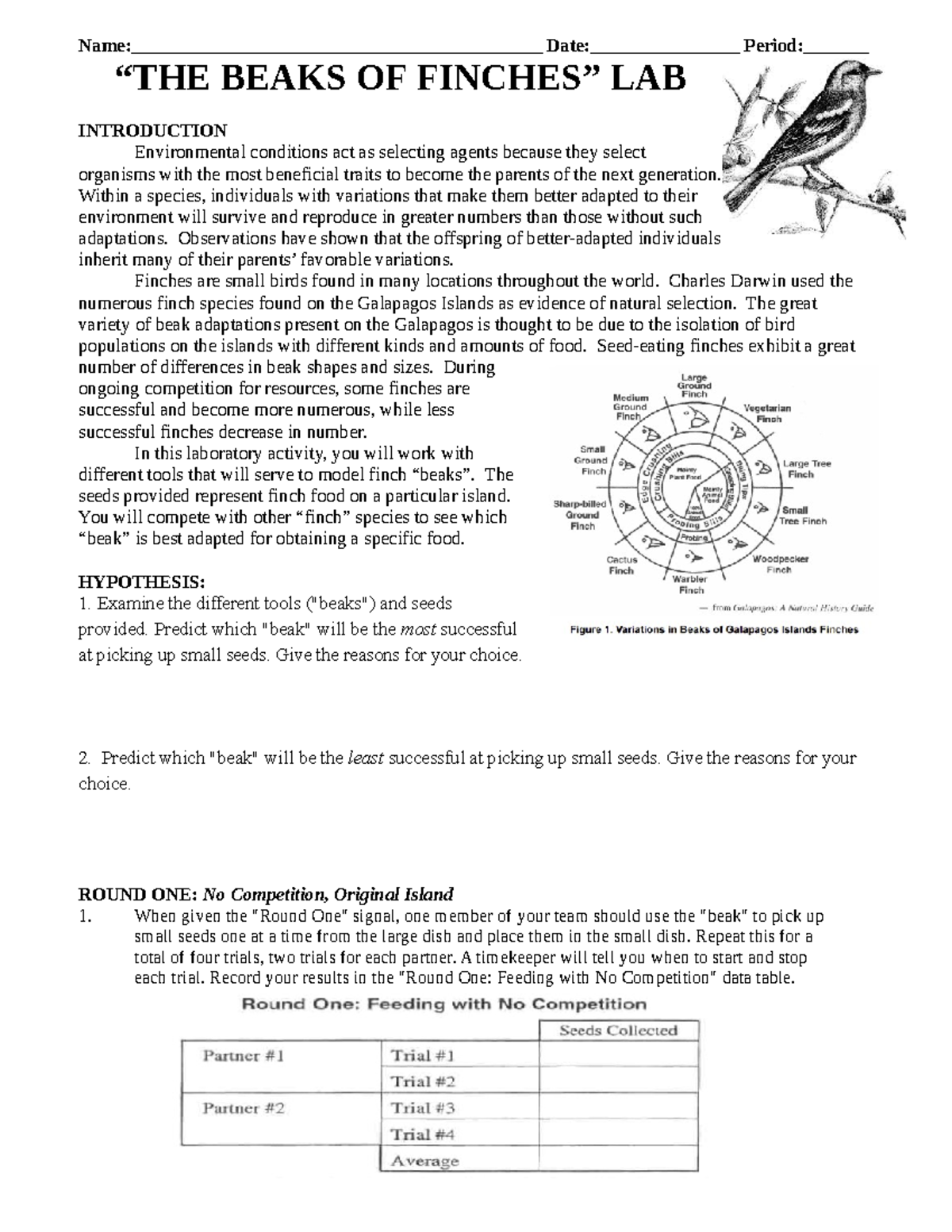 657149474 14 Beaks of Finches Lab Answer Key and Overview - Studocu