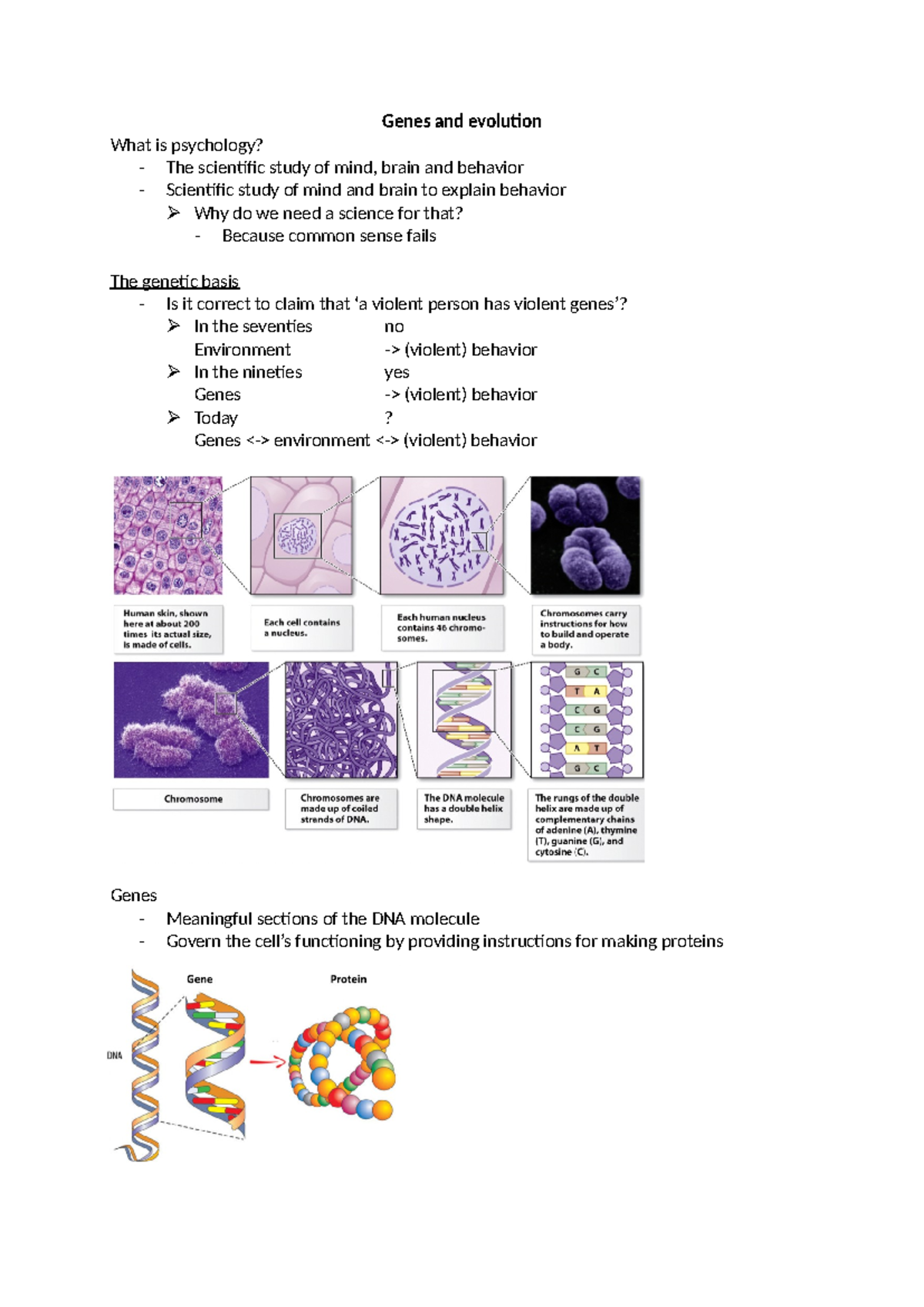 Psychology 101: Insights on Genes, Behavior, and Consciousness ...