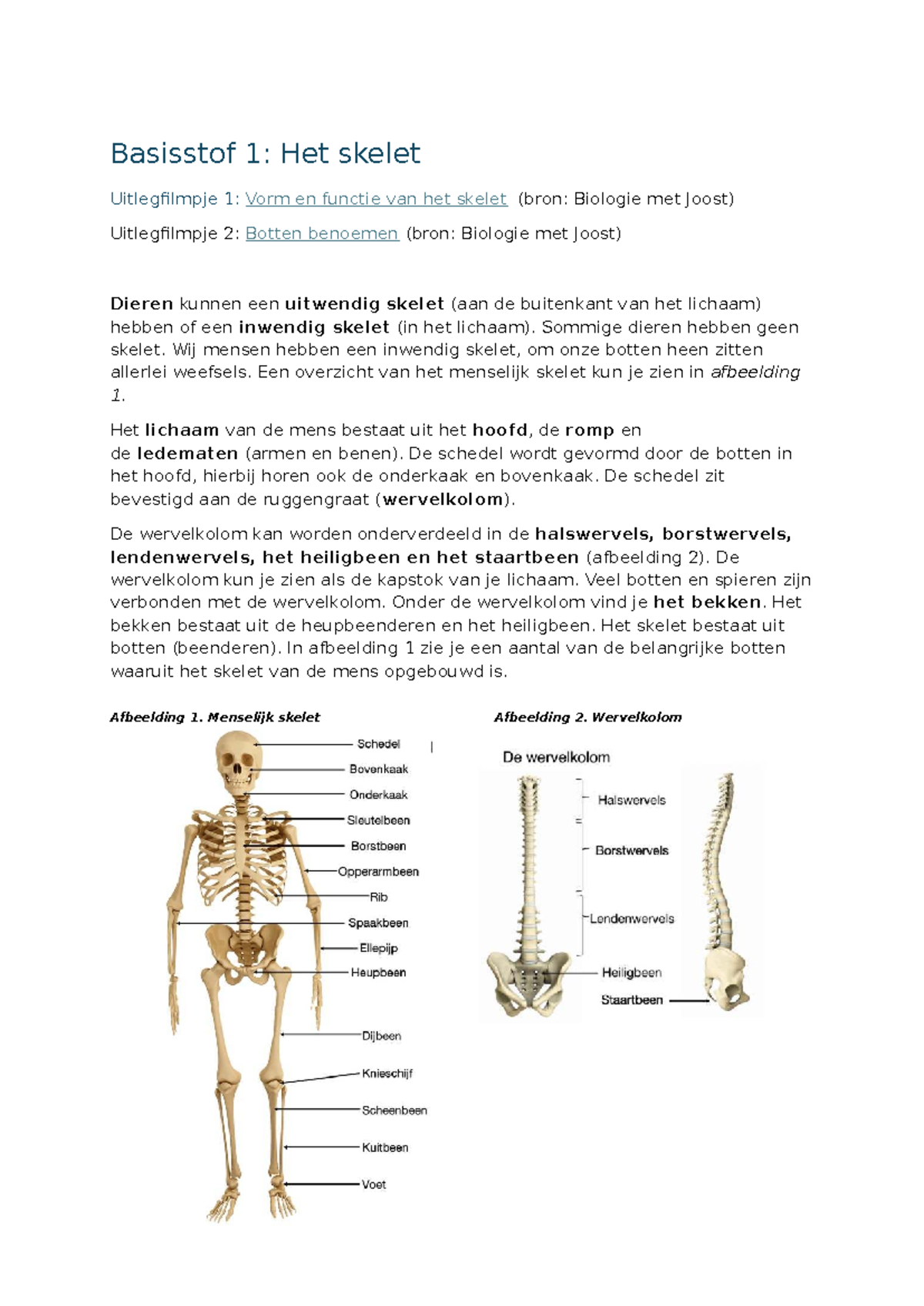 Biologie Thema 4: Stevigheid en Beweging van het Skelet en Spierstelsel ...
