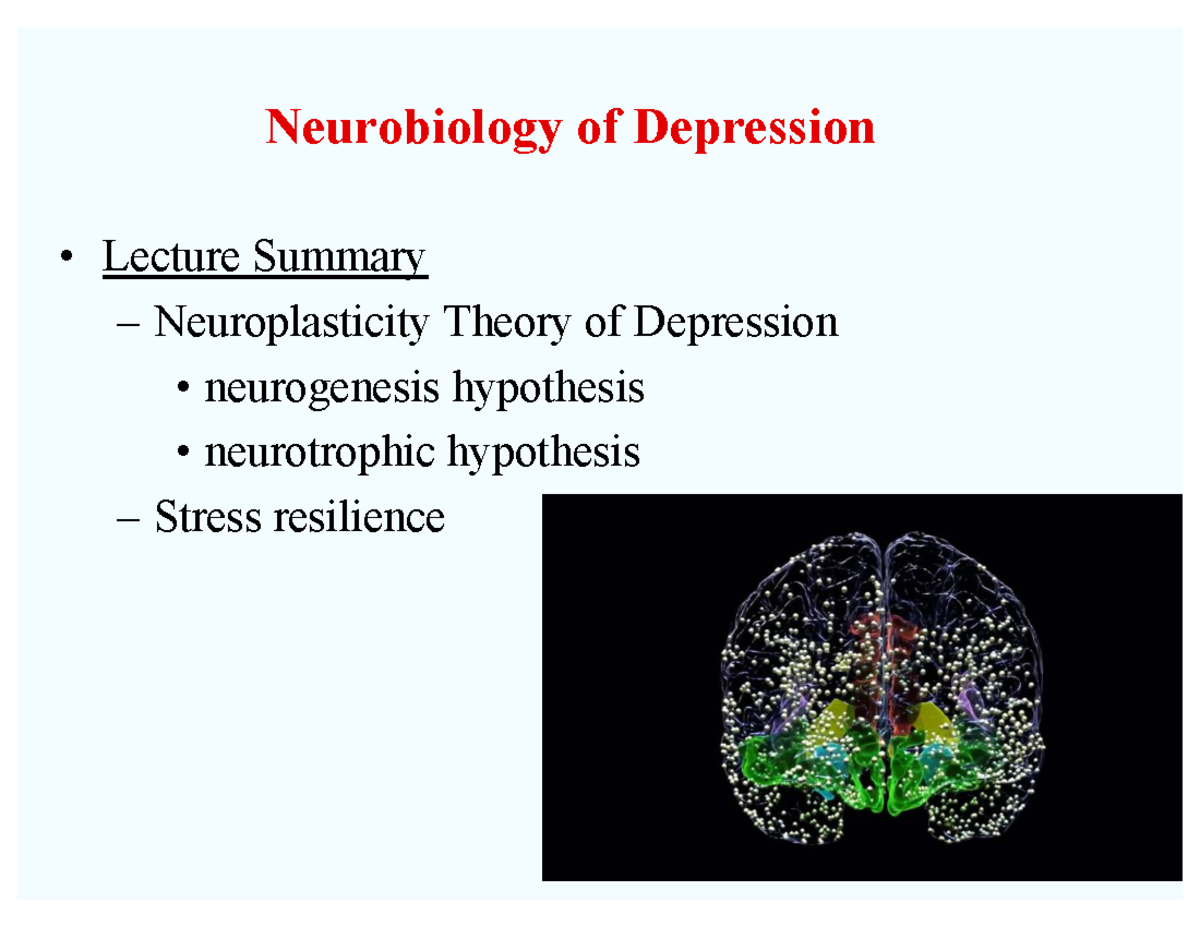 Neurobiology of Depression (370) Lecture Summary: Neuroplasticity ...