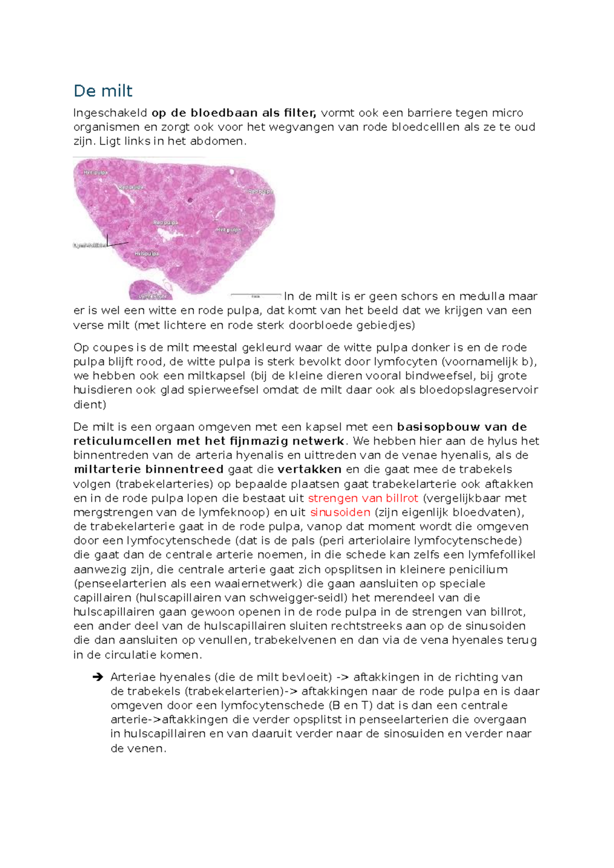 De Milt: Uitleg Lesnota over Anatomie en Functie - Studocu