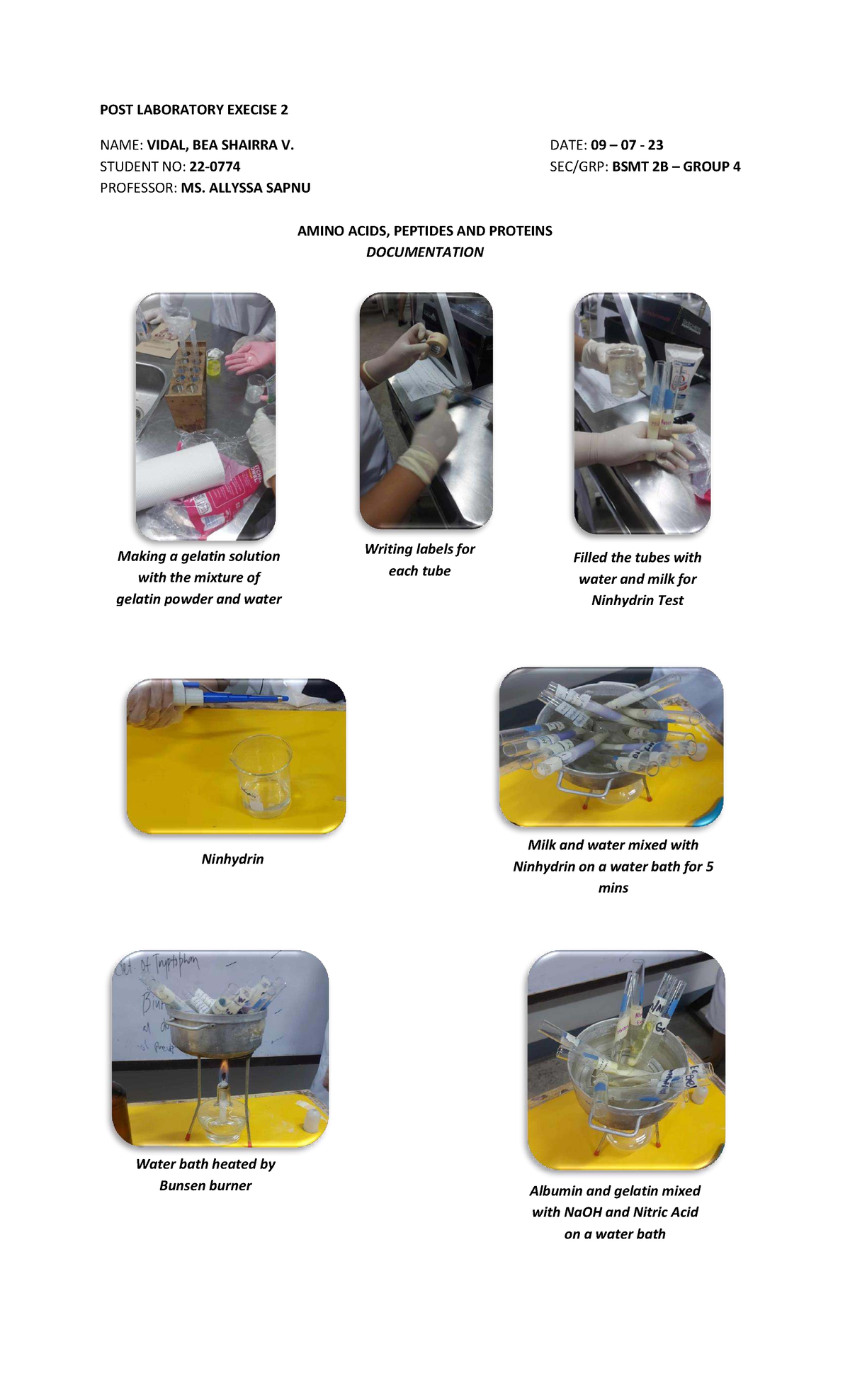 BSMT 2B Post Lab Exercise 2: Amino Acids & Proteins Documentation - Studocu