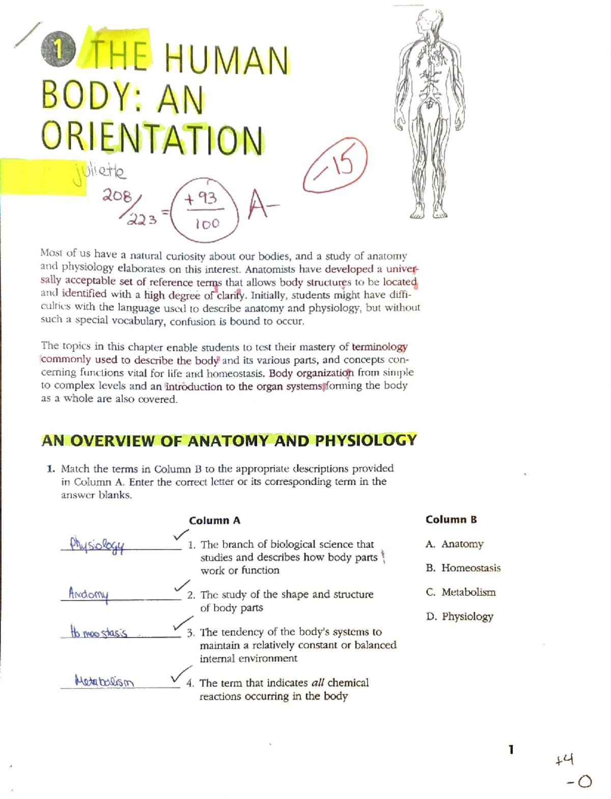 BIOL 2320 - Chapter 1 The Human Body- An Orientation Exam copy - THE HUMAN BODY: AN ORIENTATION ...