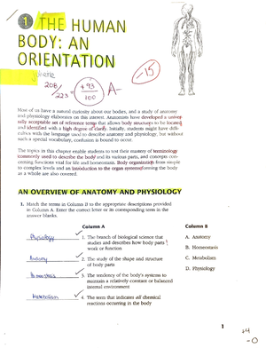 BIOL 2320 - Chapter 6 The Muscular System Exam copy - THE MUSCULAR ...