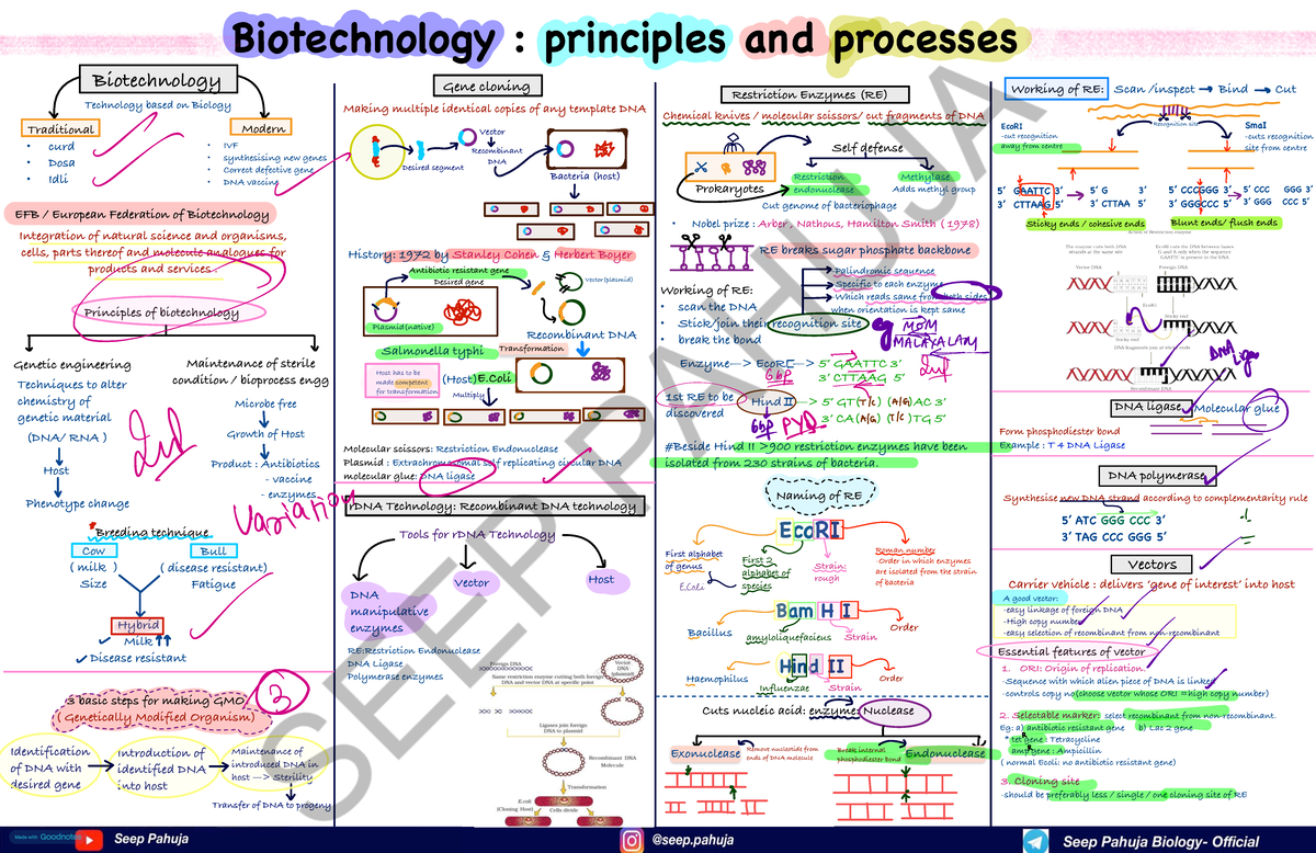 Biotech Principles & Processes Mind Maps (Course Code: BIO101) - Studocu