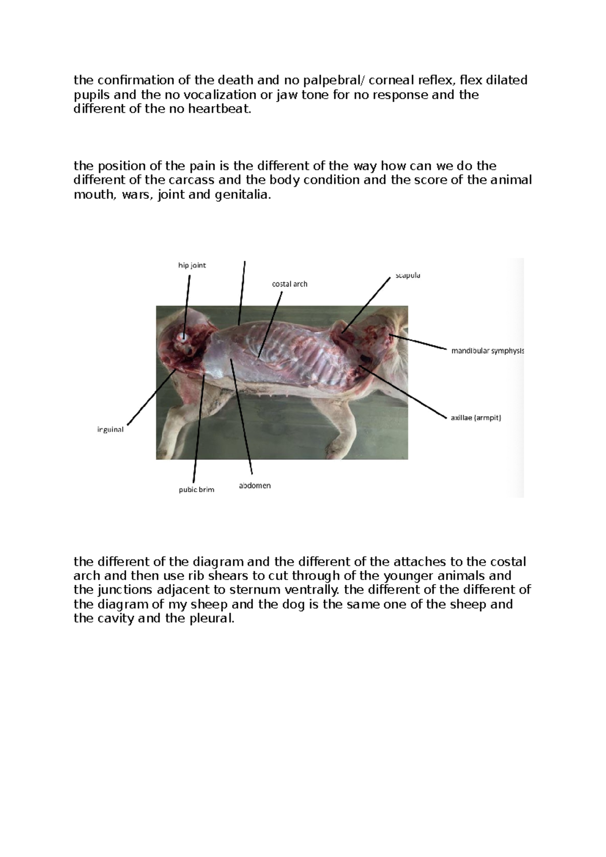 Death Confirmation and Reflex Assessment in Animals - Studocu