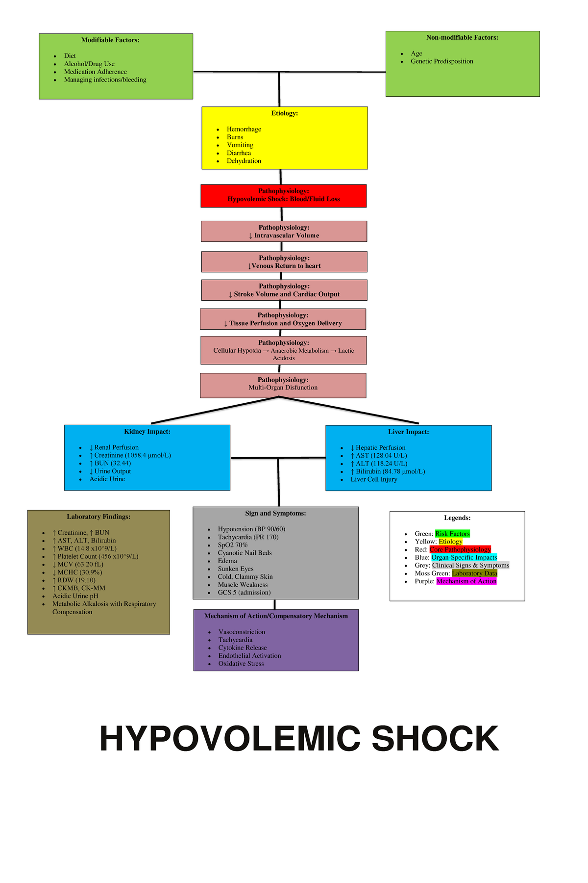 Hypovolemic Shock: Pathophysiology, Risk Factors, and Clinical Signs - Studocu