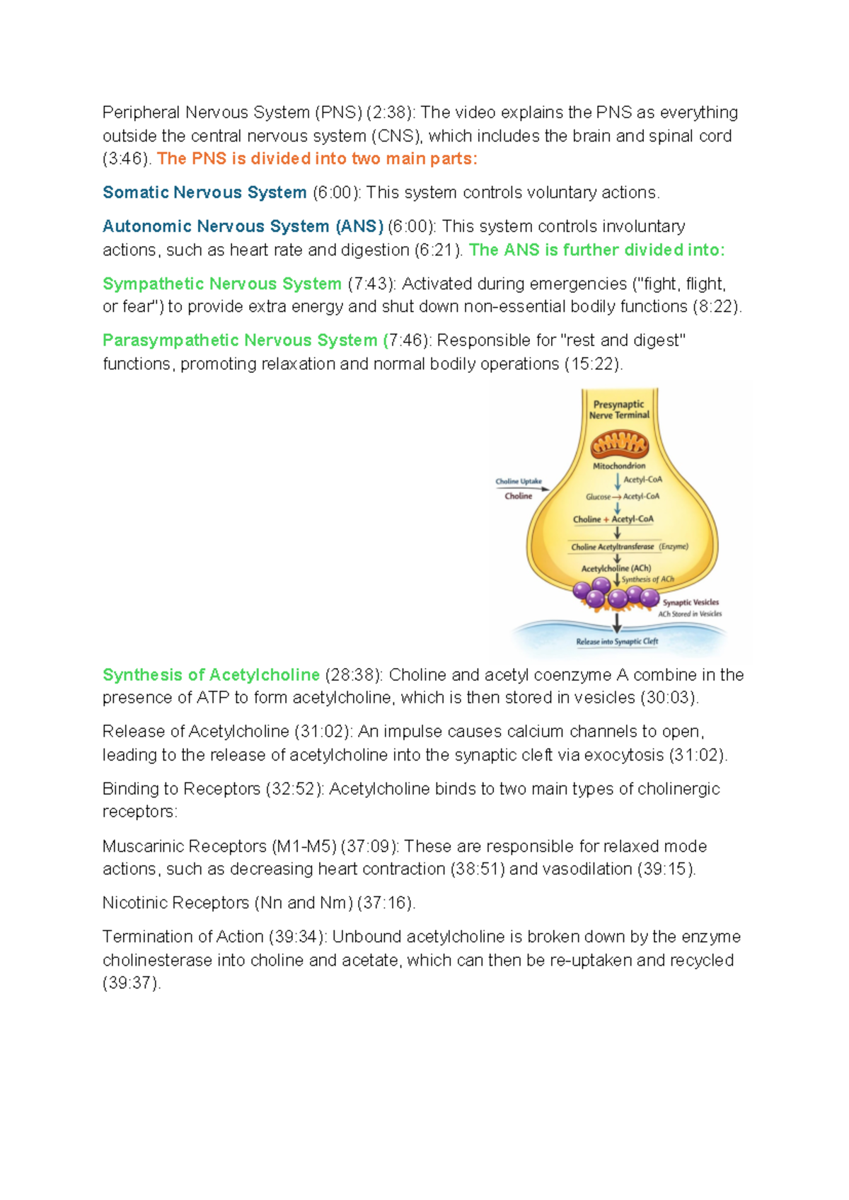 PNS - Overview of Peripheral Nervous System Functions and Actions - Studocu