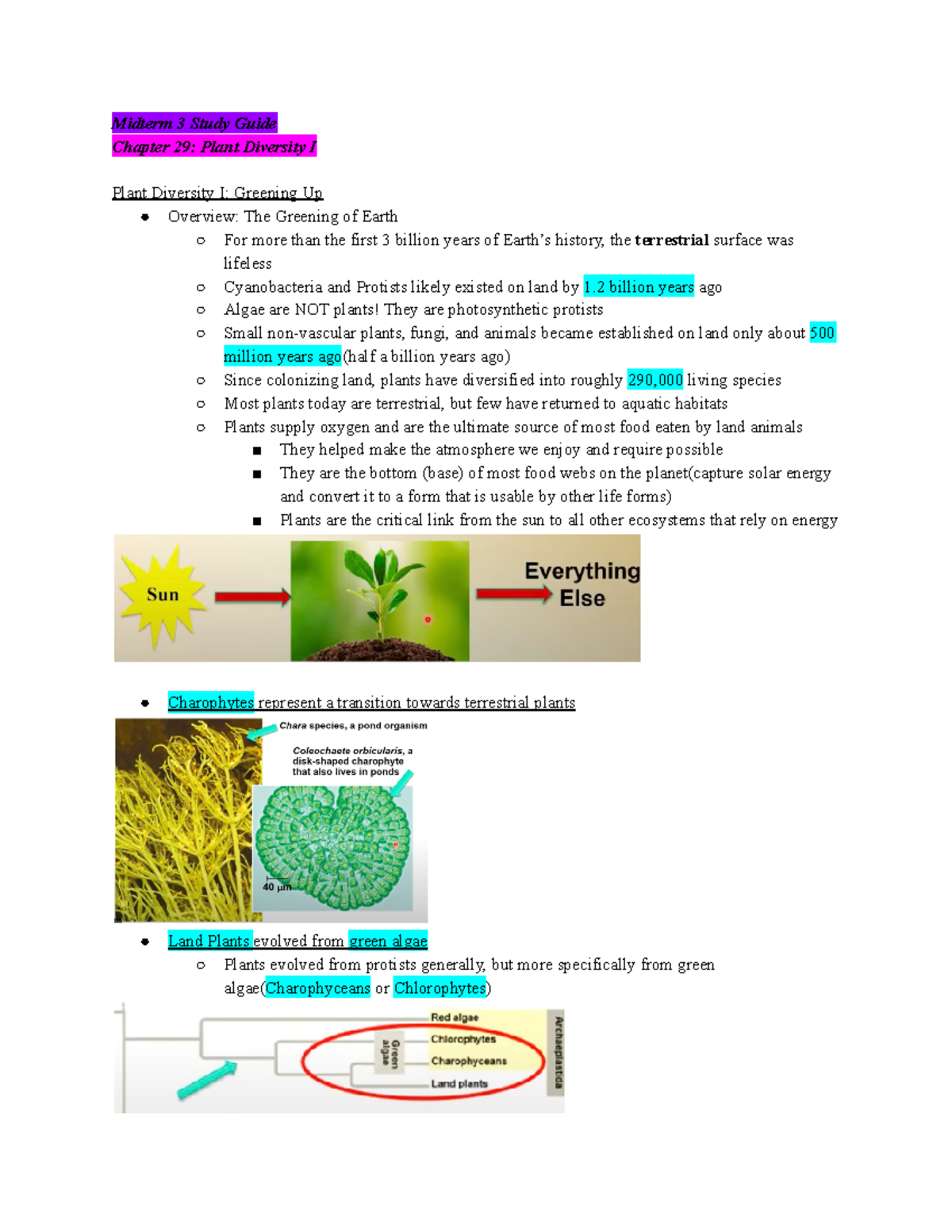 Bio Midterm 3 Study Guide - Midterm 3 Study Guide Chapter 29: Plant ...