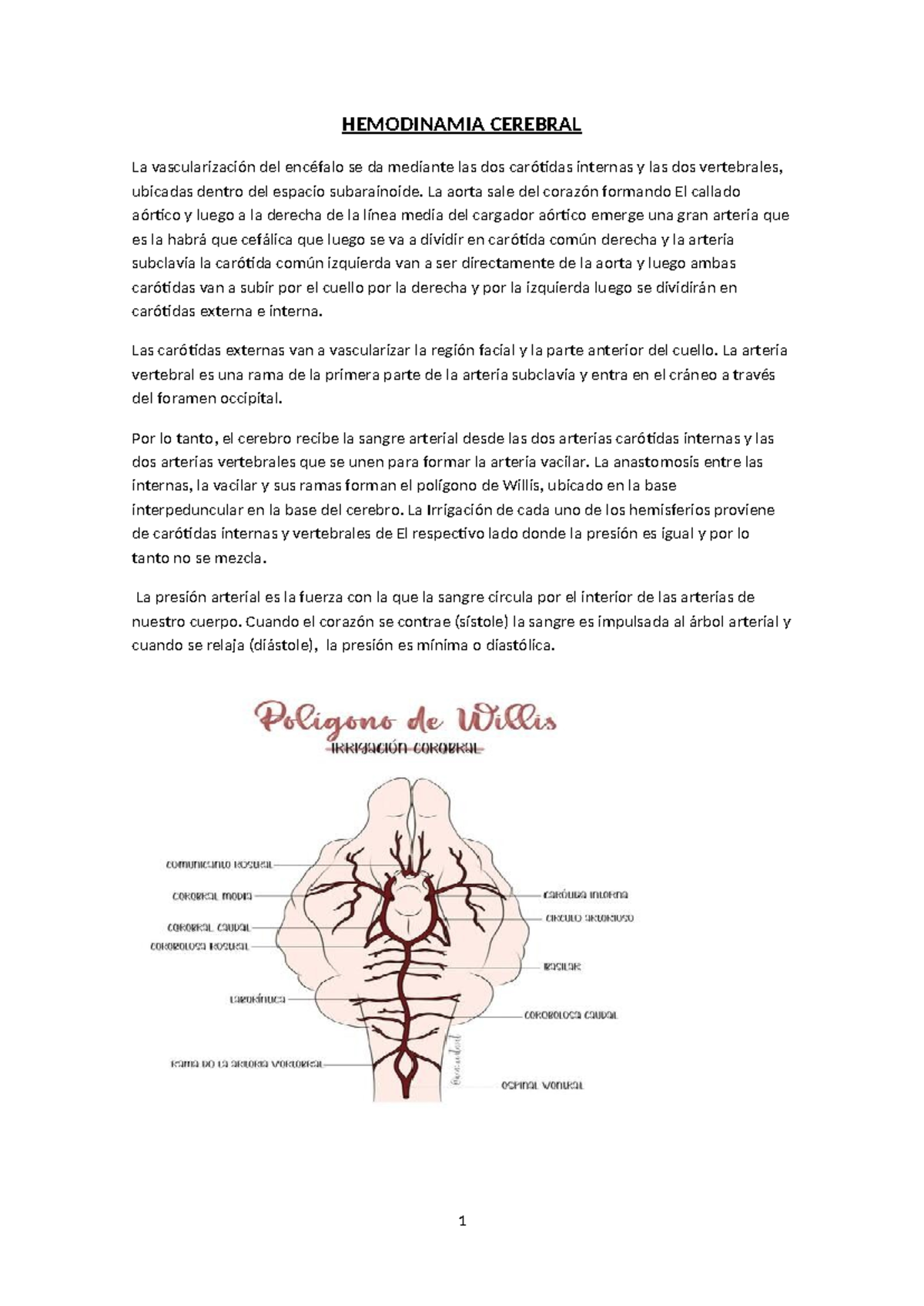 HEMODINAMIA CEREBRAL: Resumen de Neuropsicología y ACV - Studocu