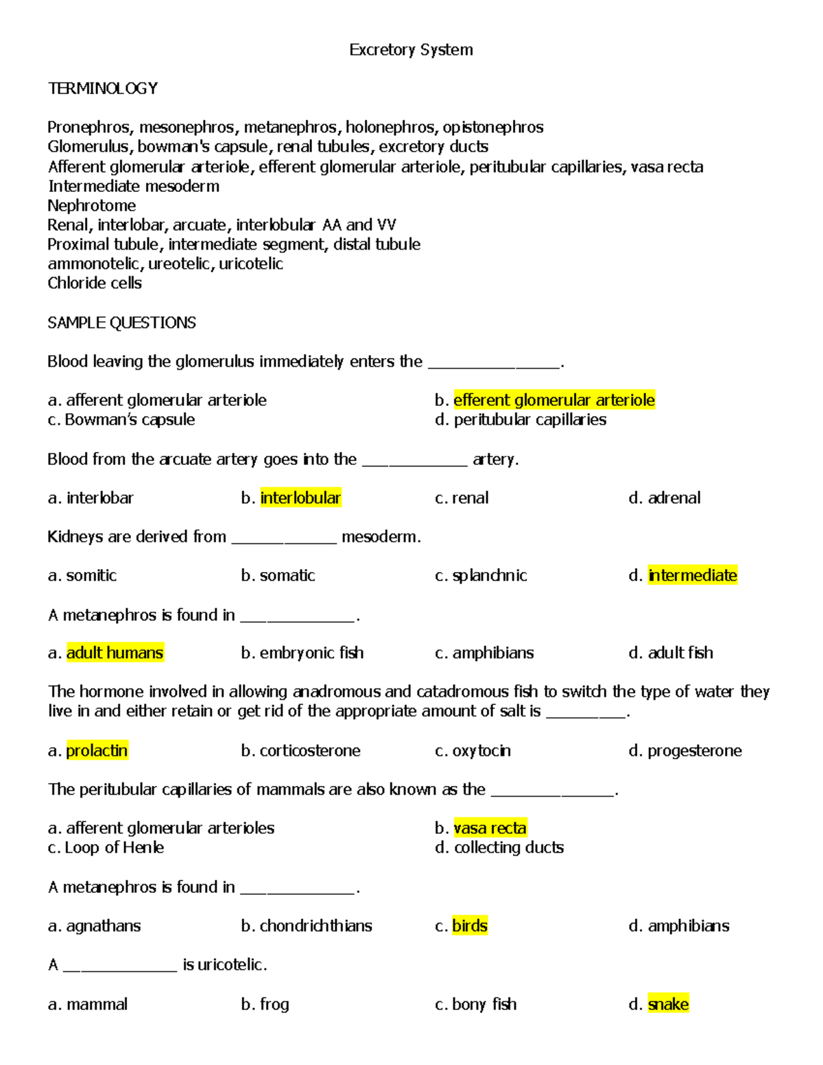 Excretory System - Exam 5 Study Questions & Answers Guide - Studocu